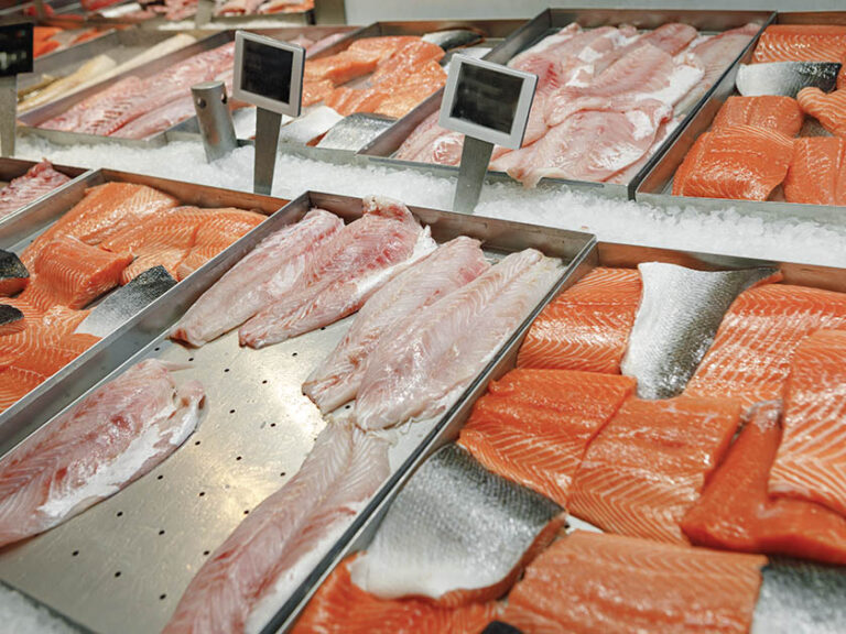 The differences between White Fish and Oily Fish Chao Pescao